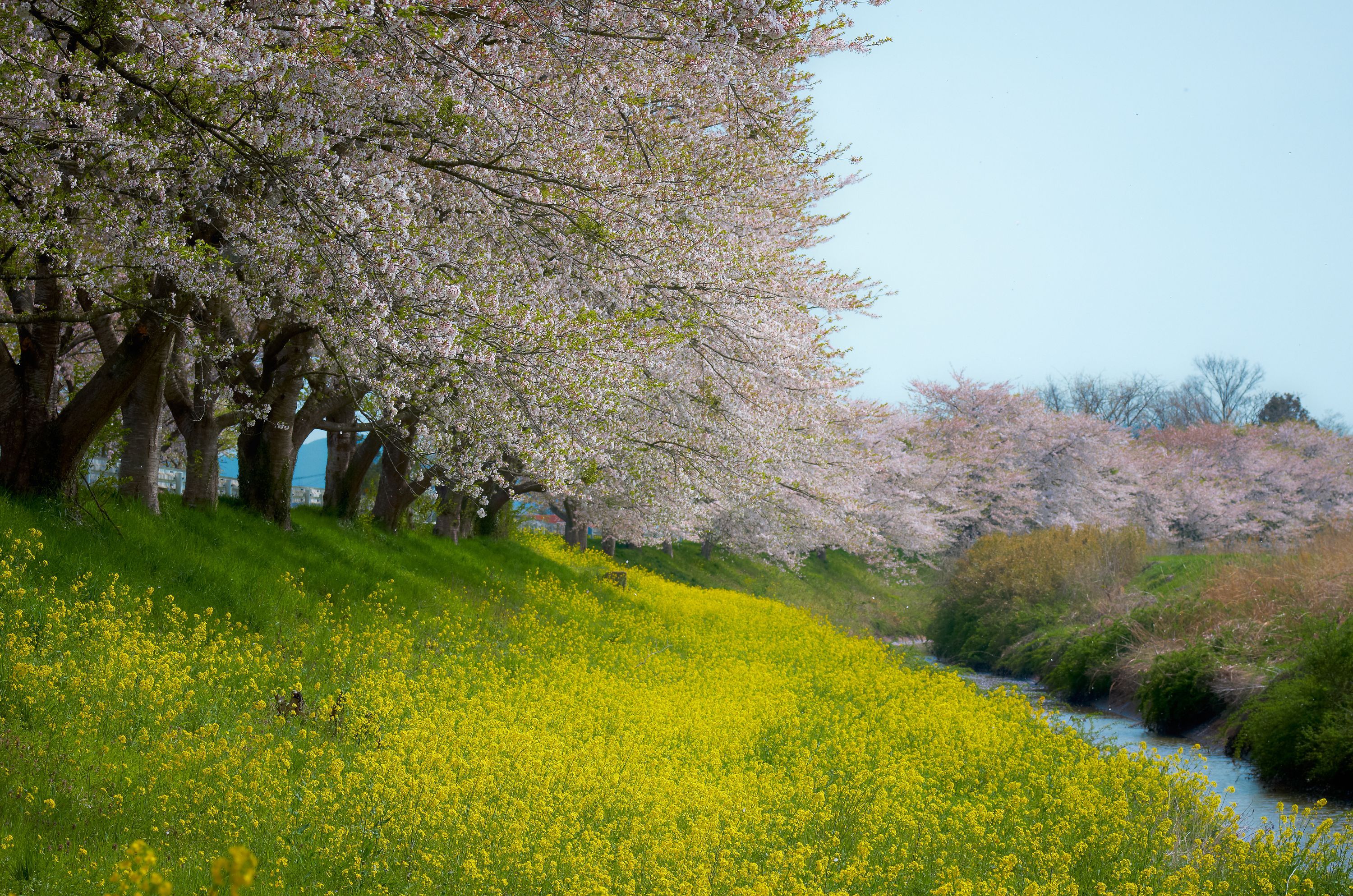 Tome Hotels: 10 Cheap Tome Hotel Deals, Japan